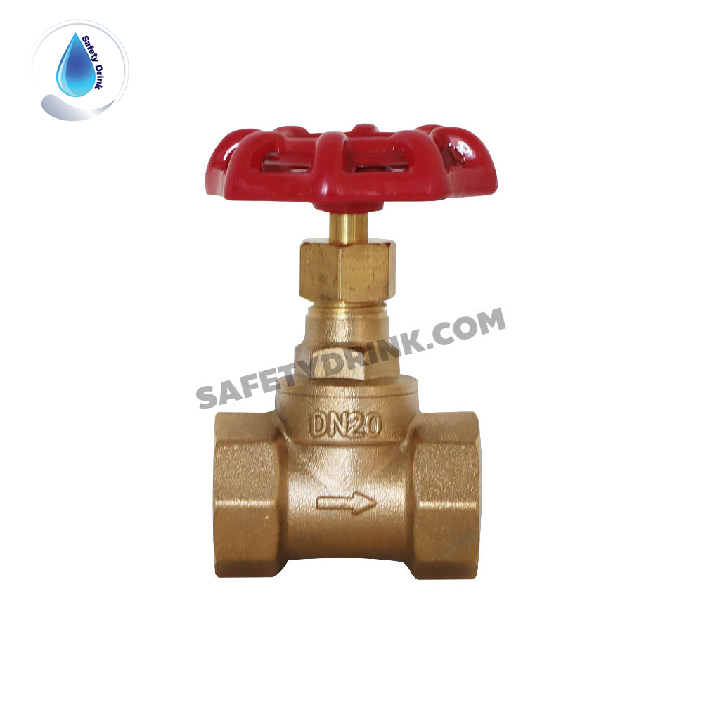 SafetyDrink โกลบวาล์ว (Globe Valve) ทองเหลือง 3/4 นิ้ว | Lazada.co.th