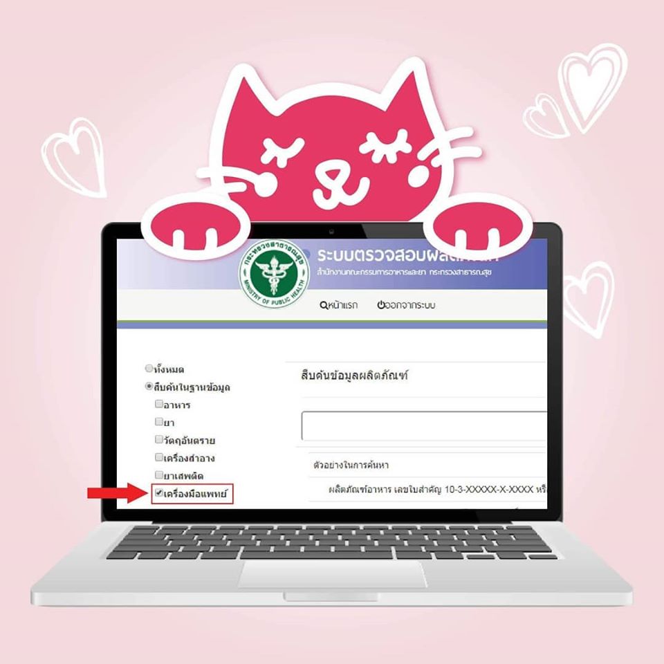 Kitty kawaii Mini Bom Gray บิ๊กอายสายตาสั้น สายตาปกติ power_lenses 0.00 ...