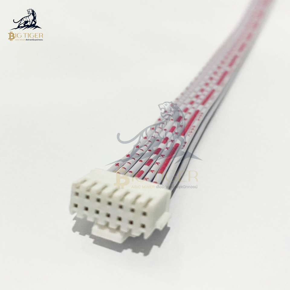 สายแพร 14 Pin ,18 Pin สำหรับ Asic Antminer | Lazada.co.th
