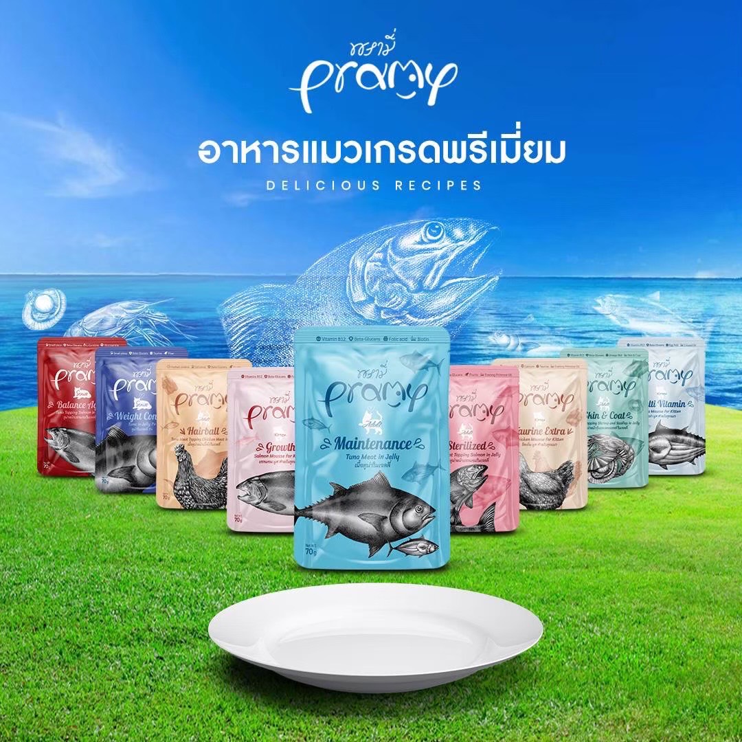 PRAMY Hello Kitty Sanrio พรามี่ อาหารเปียกแมว บำรุงสุขภาพ ขนาด 70 กรัม ...