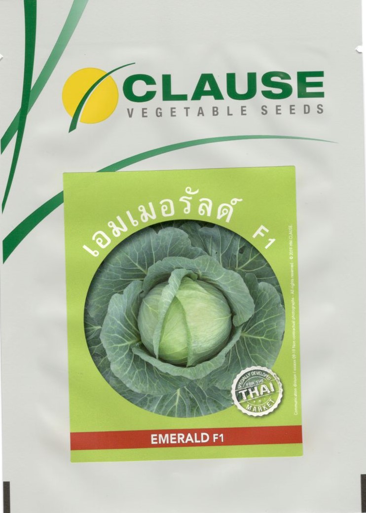 CLAUSE กะหล่ำปลีเอมเมอร์รัลด์ พันธุ์ลูกผสม (CABBAGE Emerald F1 ...