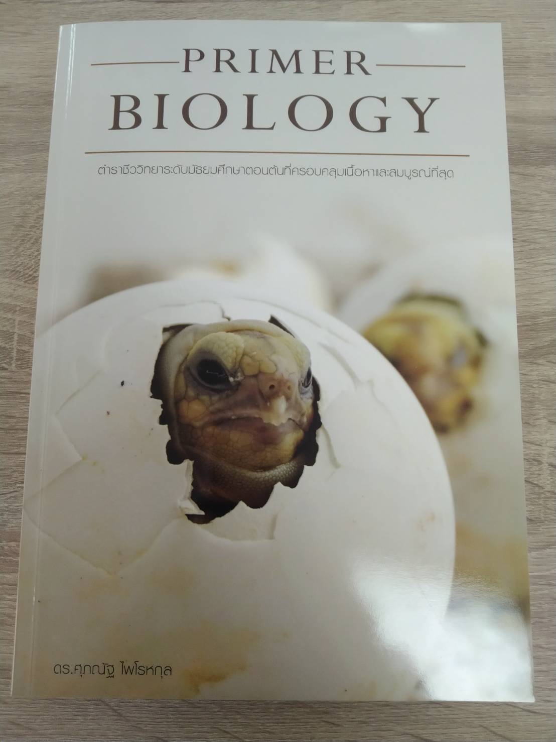 Primer Biology Meaning at Lucy Dean blog