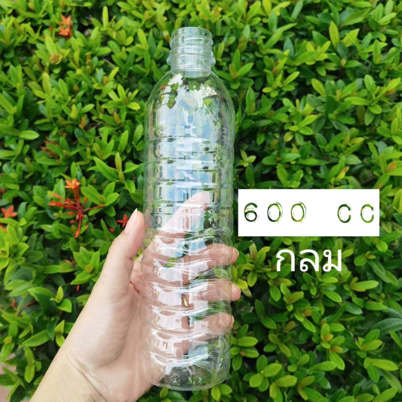 ชวดน้ำพลาสติก PET 600CC 150ขวดพร้่อมฝา | Lazada.co.th