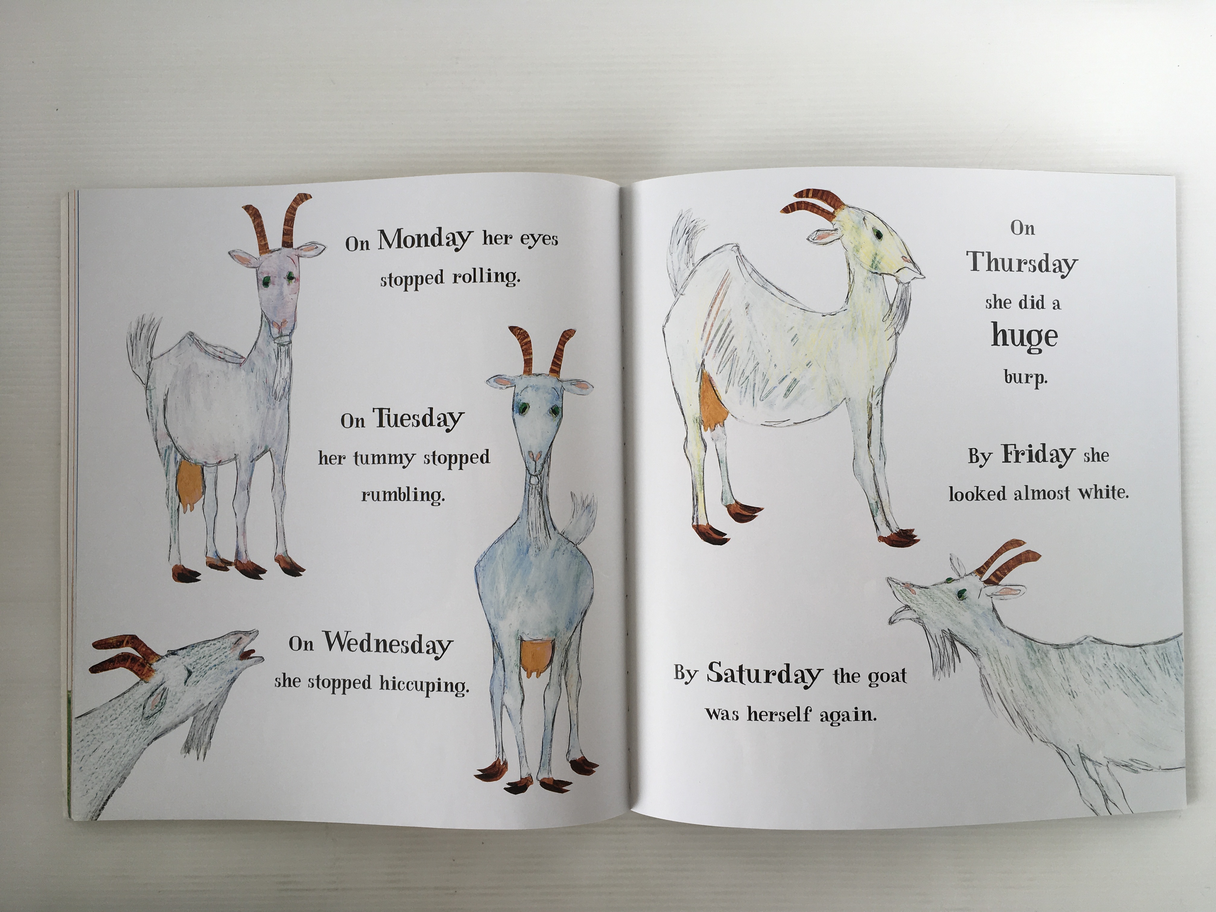 THE GREEDY GOAT by petr Horacek Paperback Book หนังสือนิทานปกอ่อนภาษา ...