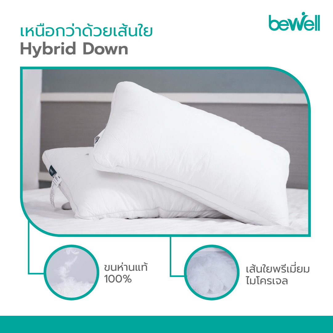 New Bewell HybridDown Ergonomic Pillow หมอนเพื่อสุขภาพ รุ่นไฮบริดดาวน์ ผสมขนห่านแท้เกรดพรีเมียม ...