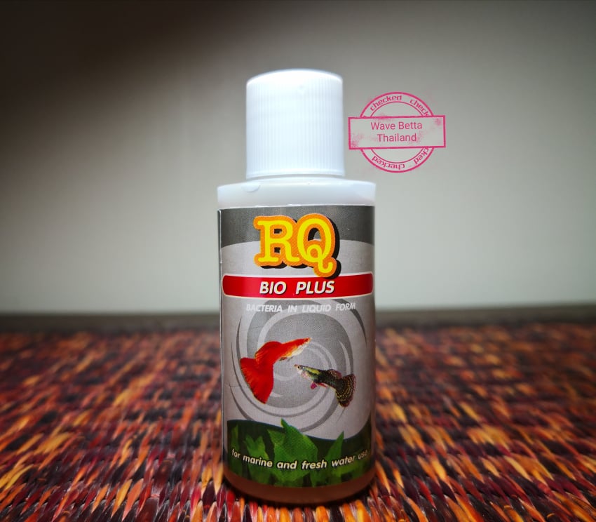 RQ BIO PLUS อาร์คิว ไบโอ พลัส (แบคทีเรียย่อยสลายของเสีย เศษอาหารตกค้าง ...