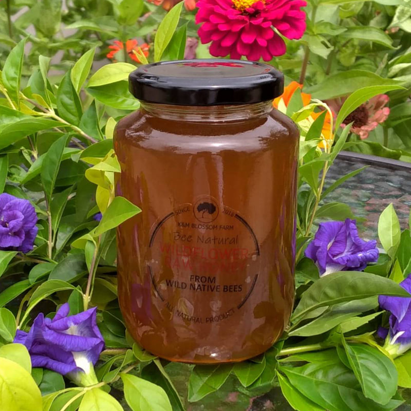 Native Bee Wildflower Honey 480ml - KM BLOSSOM - ThaiPick