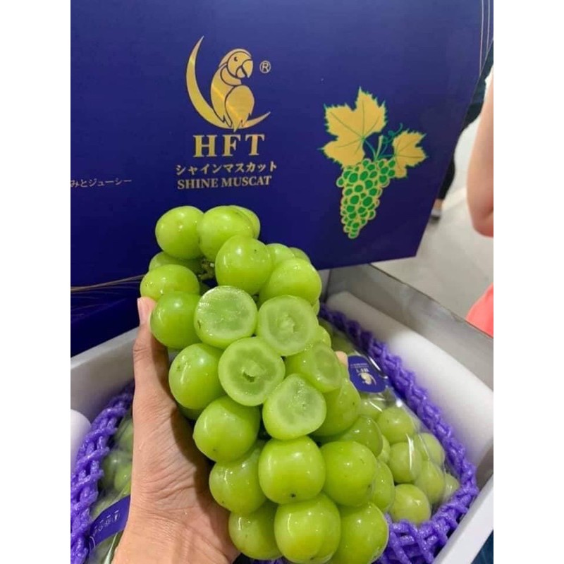 องุ่นไซมัสคัสเกาหลี Shine Muscat Korea - CherryShopFreshFruits - ThaiPick