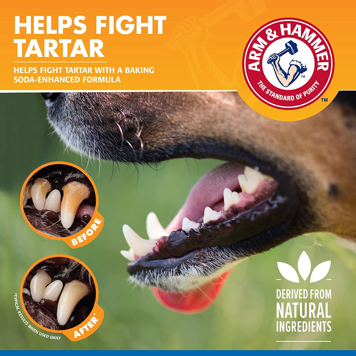 Arm Hammer Tartar Control Dental Spray for Dog Mint Flavor 118 mL ...