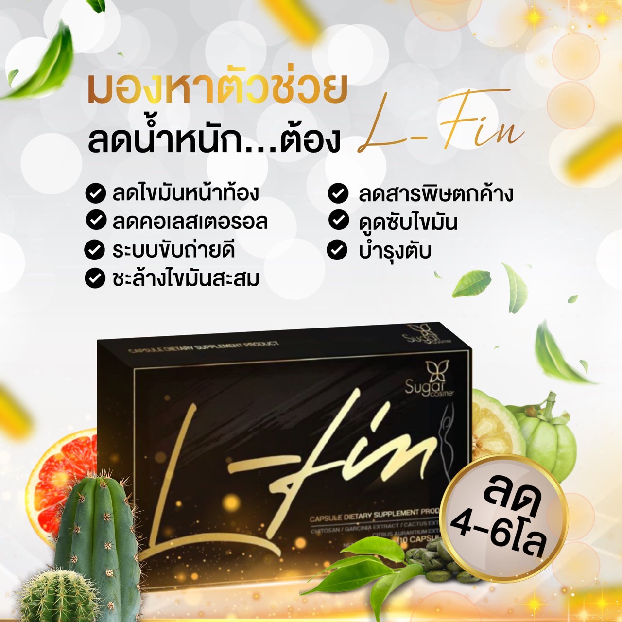 Lfin ลดน้ำหนัก ฟรี กาแฟลดนำหนัก สายดื้อ กินตัวไหนไม่ลง กล่องดำในตำนาน ...