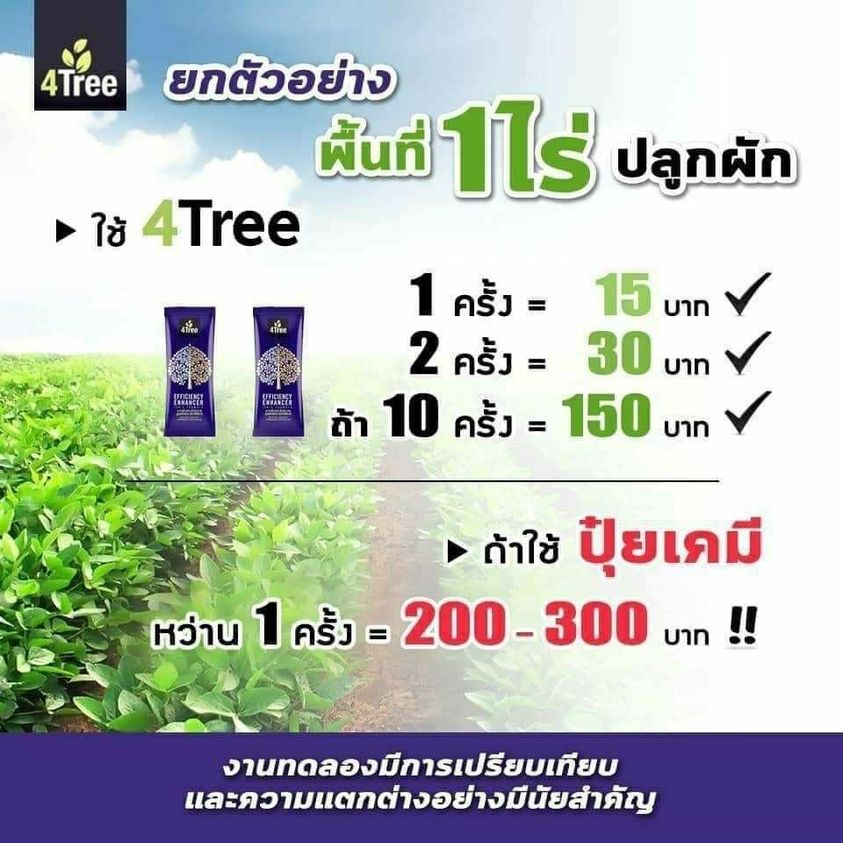 ระเบิดหัวมันสำปะหลัง 4Tree (โฟร์ทรี) 2 ซอง สารเสริมประสิทธิภาพ สูตรอิออน พืชโตเร็ว ของเเท้ ...