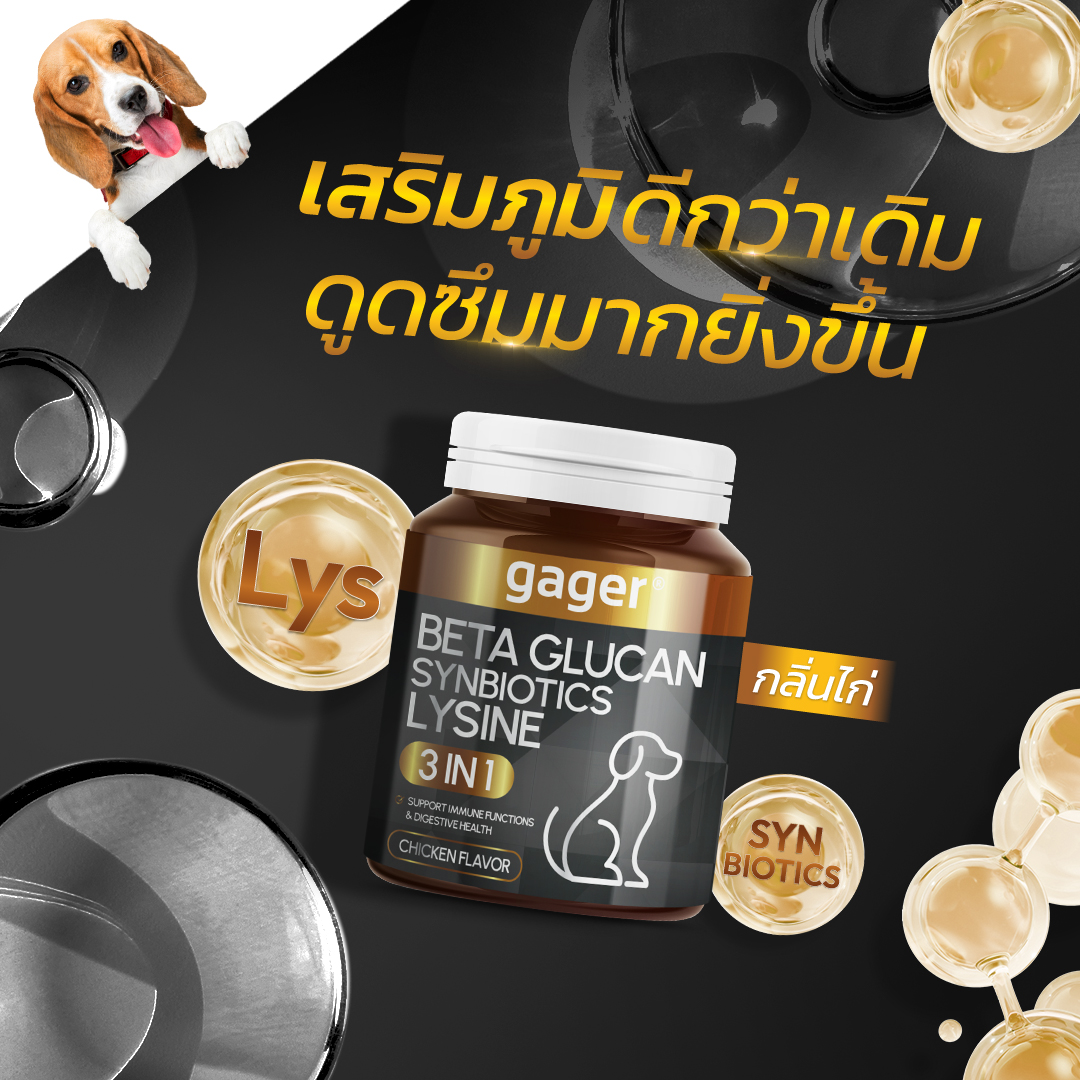 Gager (กาเจอร์) วิตามินหมา ผงเบต้ากลูแคนไลซีนซินไบโอติก 3in1 กลิ่นไก่ ...