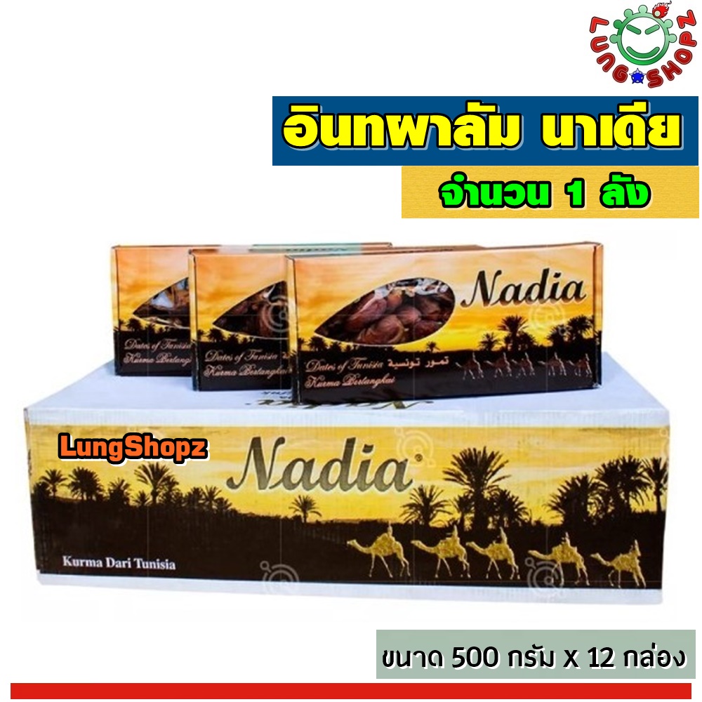 (Pack 12)Nadia 500 g. อินทผาลัม นาเดีย เกรดเอ 100% ขนาด 500 กรัม (1 ลัง ...