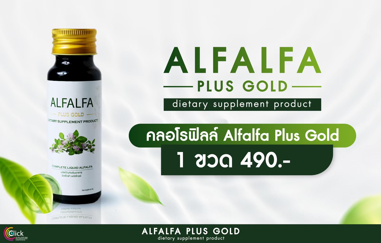 !! โปรโมชั่นพิเศษ !! Alfalfa Plus Gold คลอโรฟิลล์ชนิดน้ำเข้มข้น ช่วยดี ...