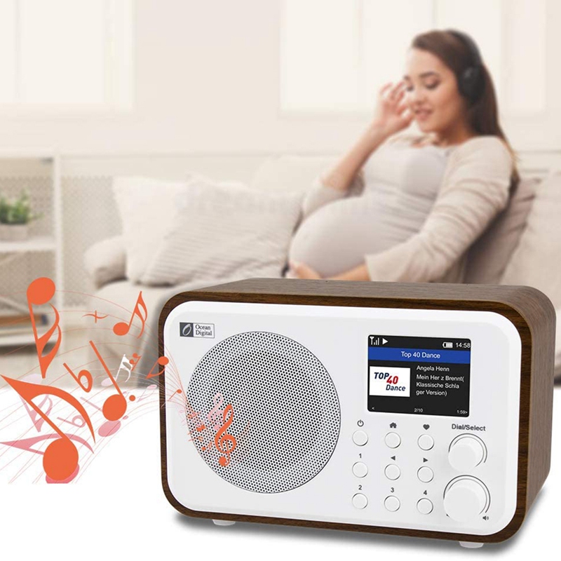 Internet Radio Receiver Wifi WR-336N Portable Digital Radio with ...