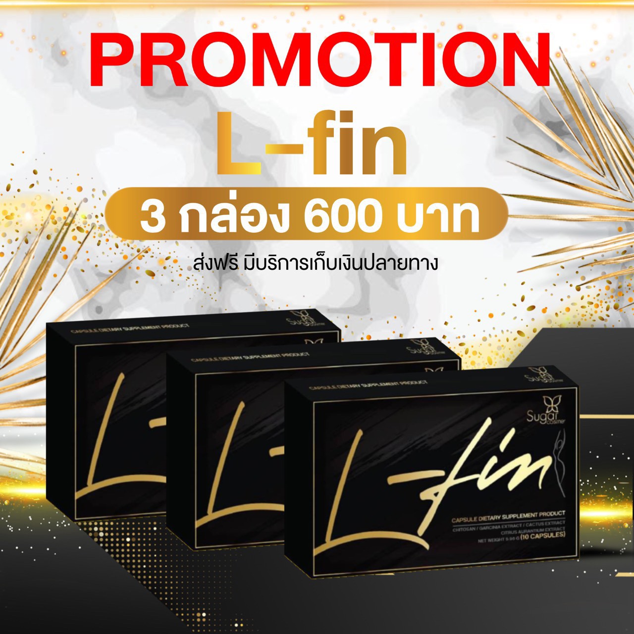 ส่งฟรี ชุด 3 กล่อง 4G Lfin เห็นผล ลูก สำรอง ตัวจี๊ด ของวงการ สายดื้อ ...