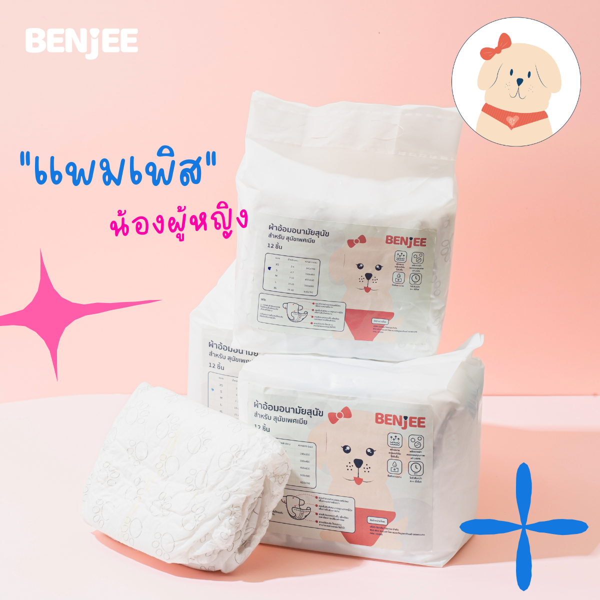 โปรเดือนเกิด Benjee เซ็ทผ้าเปียก แพมเพิสโอบิสำหรับสัตว์เลี้ยง | Lazada ...