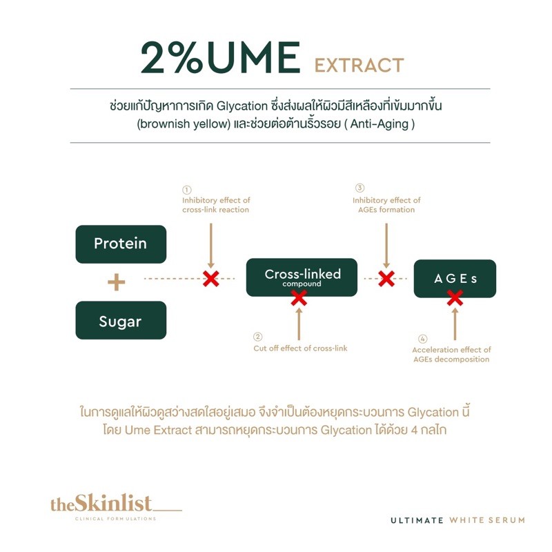 theSkinlist Ultimate White Serum 30 ml. - Zgaoshop - ThaiPick