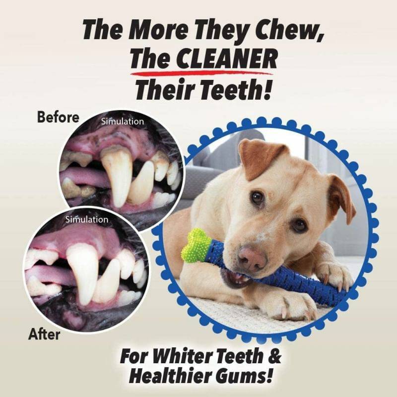 BlueOutlet Chewbrush กระดูกยางขัดฟันสุนัข ยาว 9.5 นิ้ว กระดูกของเล่น ...