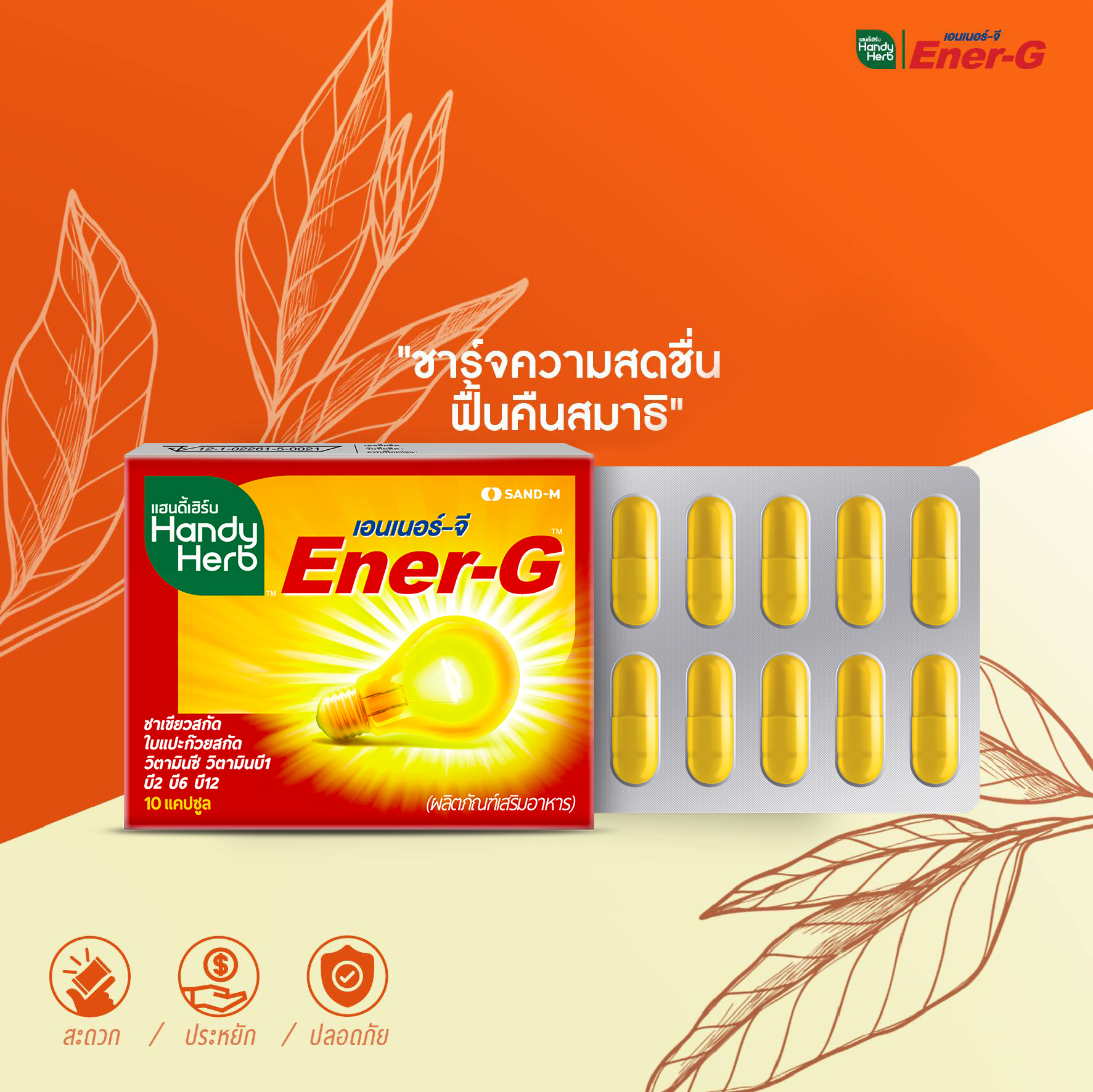 ได้ทั้งหมด 60 แคปซูล HandyHerb แฮนดี้เฮิร์บ เอนเนอร์-จี Ener-G 5 แผง แถม 1 แผง 60 แคปซูล ฟื้นคืน ...
