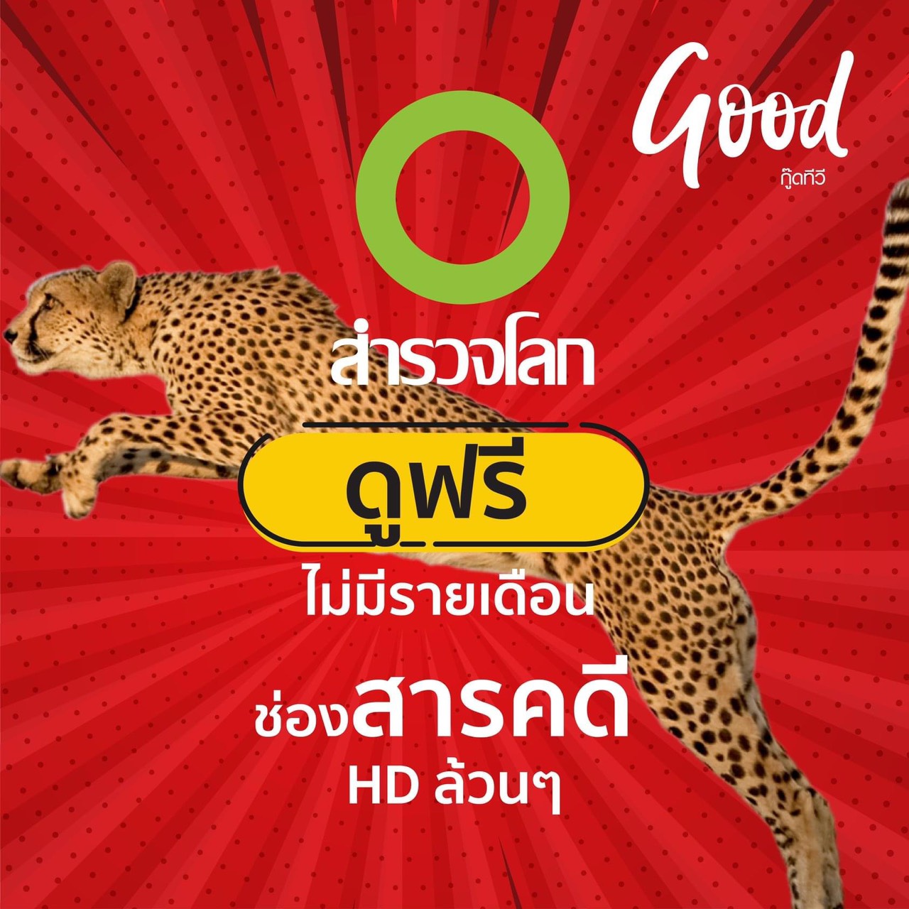 Good TV HD กล่องรับสัญญาณ กล่อง จานดาวเทียม รุ่น HD200 ดูสำรวจโลก พรีเมียร์ลีกจอไม่ดำ PTVP36 ชมพ ...