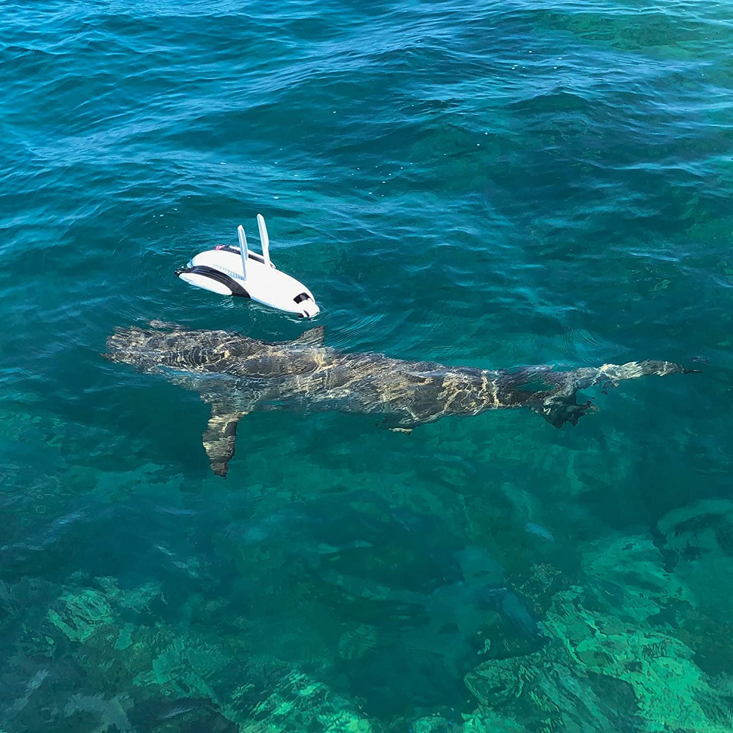 Power Dolphin Explorer Wizard Water Surface Drone โดรนผิวน้ำพร้อมกล้อง ...