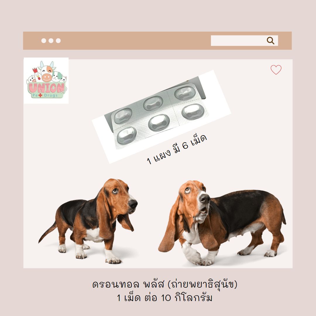DT PLUS FOR DOG (1 pack 6 tab) สำหรับสุนัข (1 tab 10 kg) EXP.052026 ลด ...