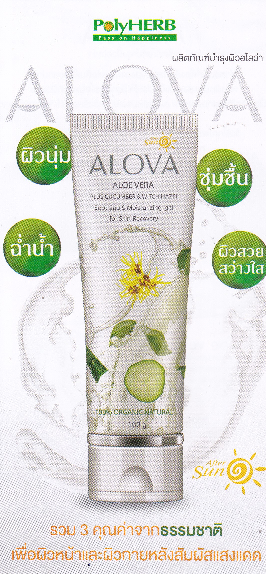 อโลว่า ผลิตภัณฑ์บำรุงผิว ALOVA | Lazada.co.th