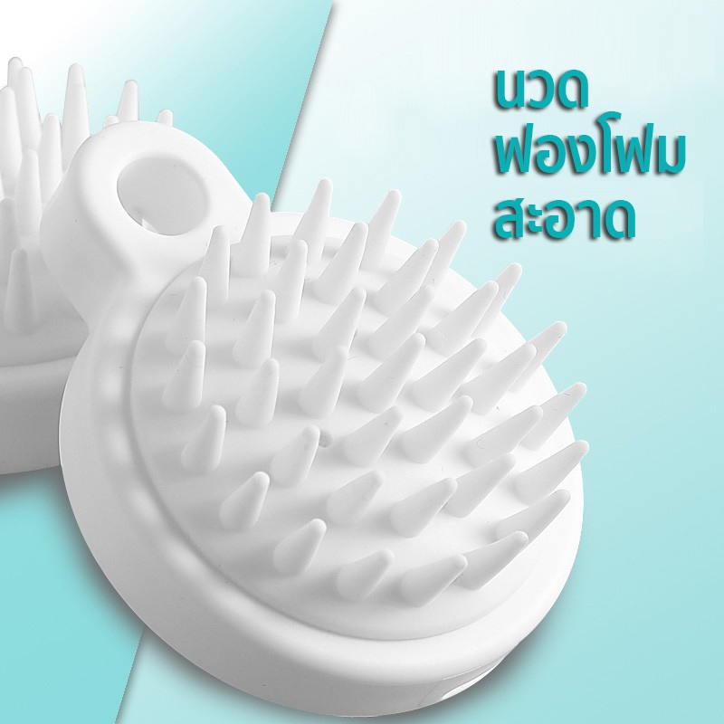 Roy skin แปรงสระผม อุปกรณ์ดูแลเส้นผม ทำความสะอาดเส้นผมให้สะอาด และนวดผม ...