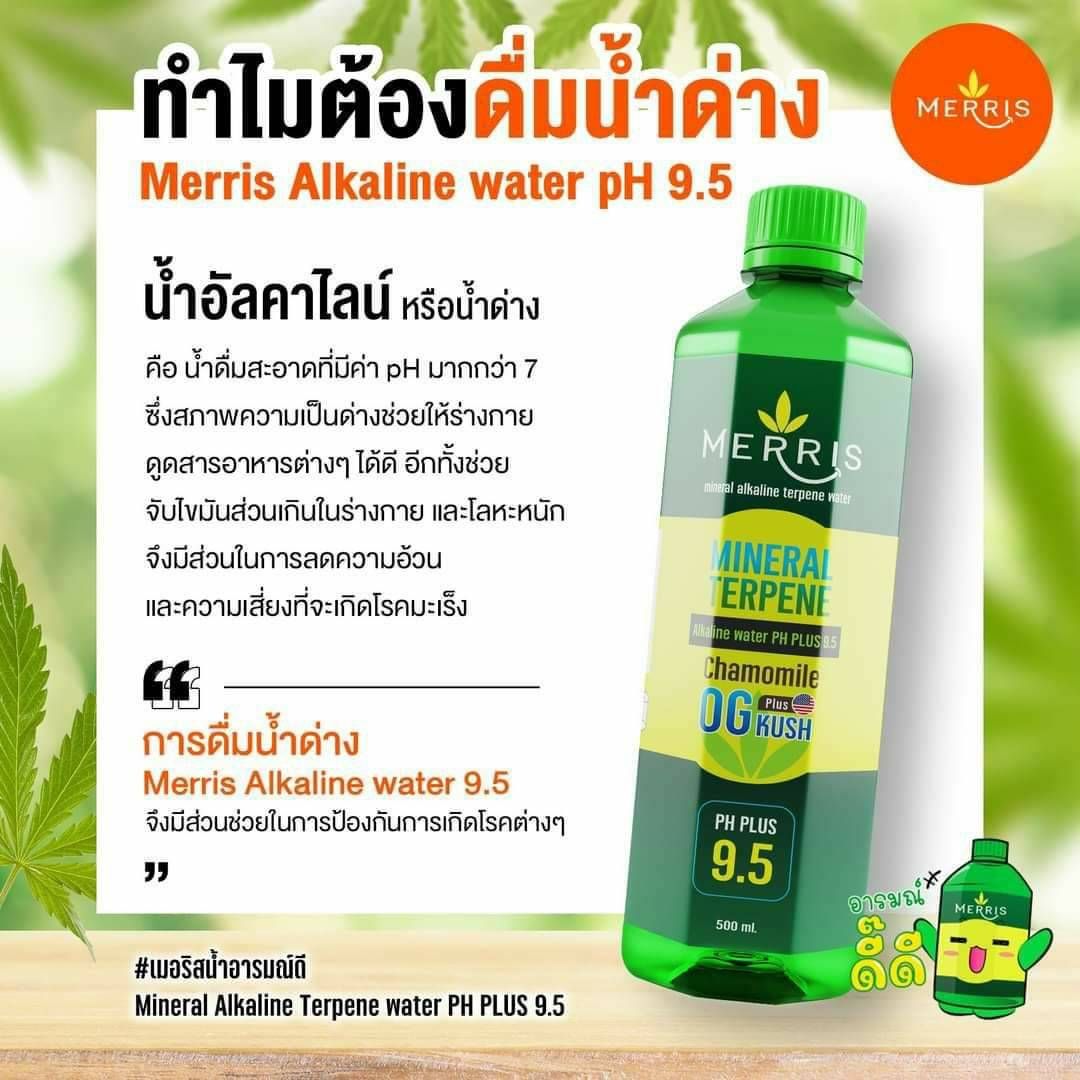 Merris เมอริส เครื่องดื่มน้ำอัลคาไลน์ Alkaline น้ำด่าง pH9.5 1ลัง มี 24 ...