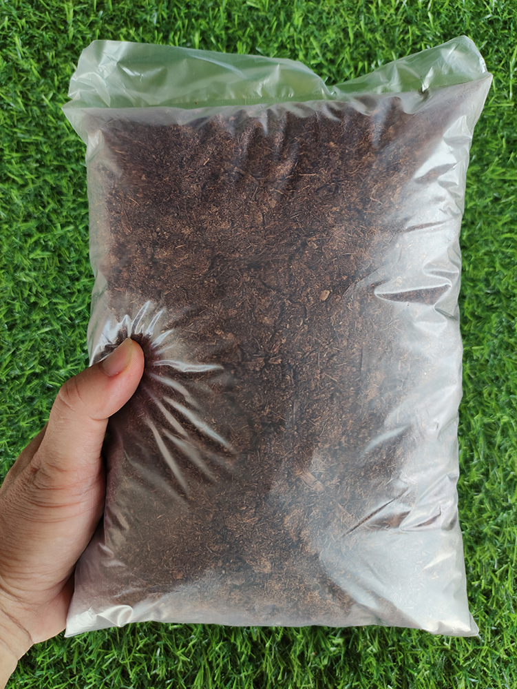 3 ลิตร พีทมอส เบสซัพเทรด (Base Substrate), TS3 (White Peat/Black Peat ...