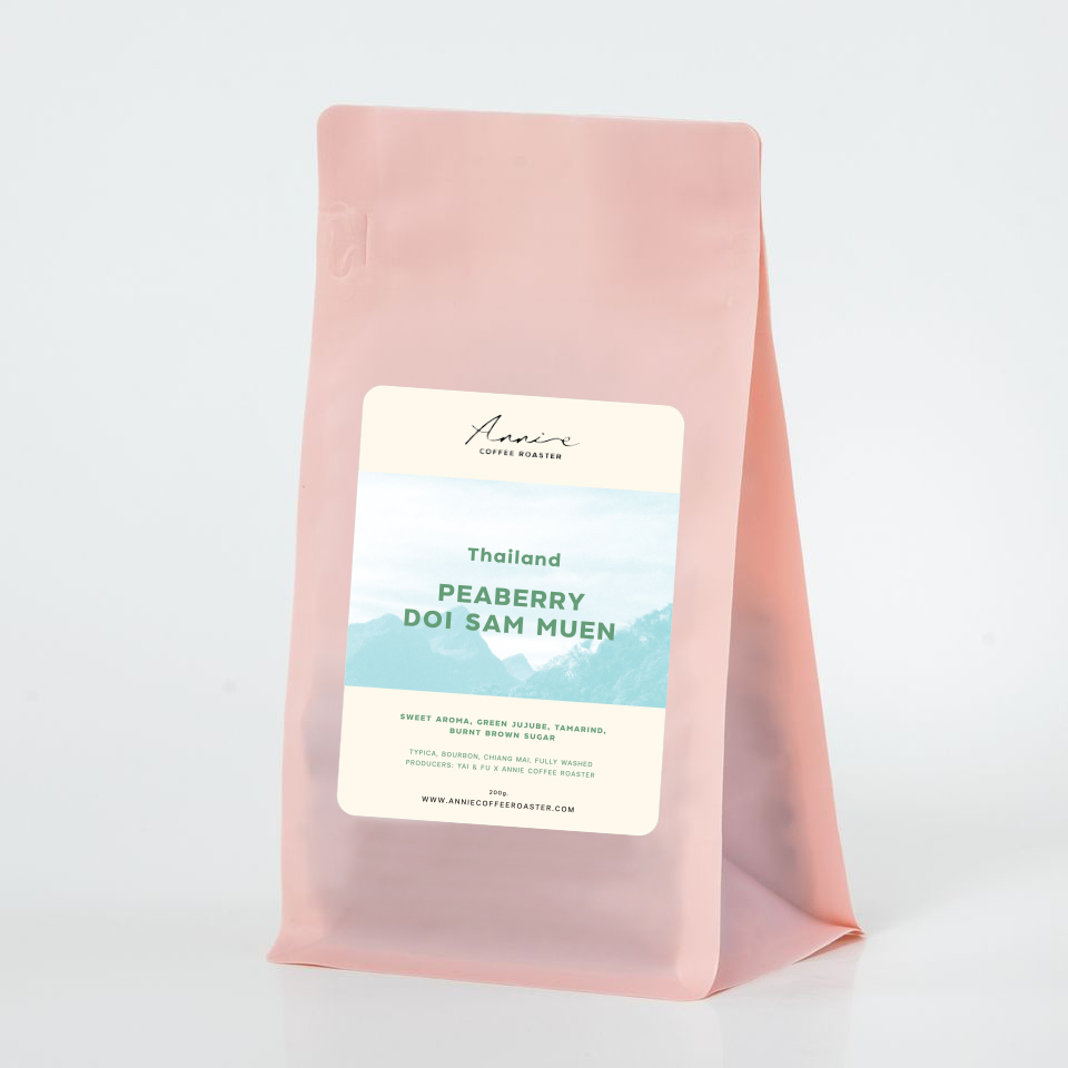 Doi Sam Muen Peaberry - Thailand, Fully Washed process คั่วอ่อน | Lazada.co.th