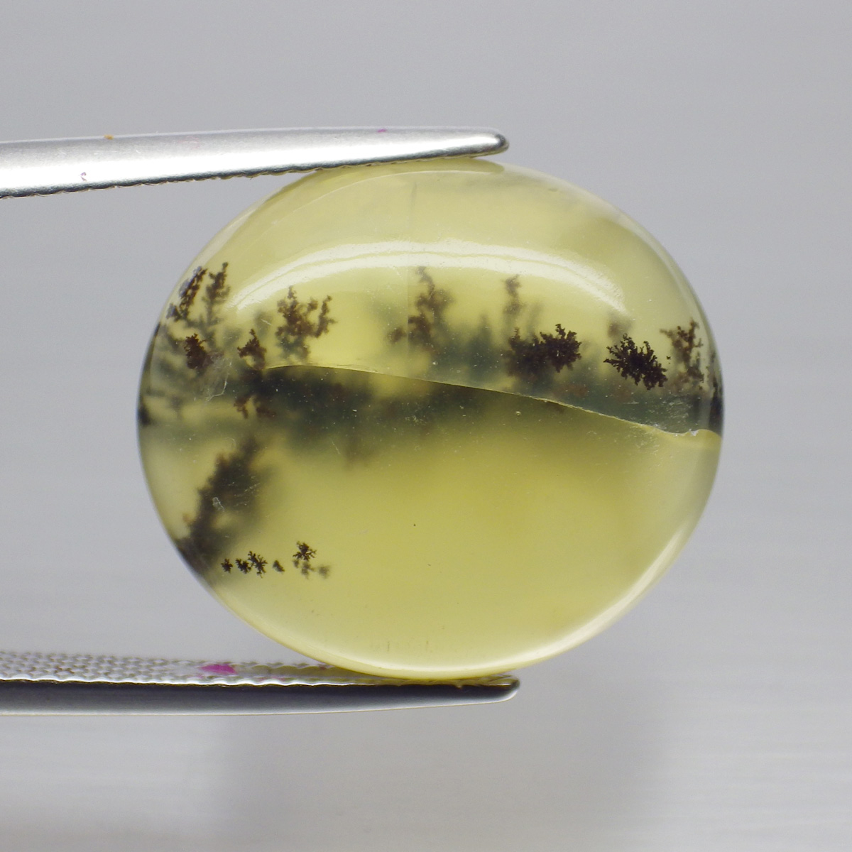 พลอย โอปอล ต้นไม้ ธรรมชาติ แท้ ( Unheated Natural Dendrite Dendritic ...