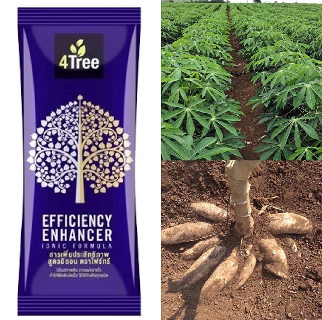 4Tree (โฟร์ทรี) 4 ซอง สารเสริมประสิทธิภาพ สูตรอิออน พืชโตเร็ว แข็งแรง ...