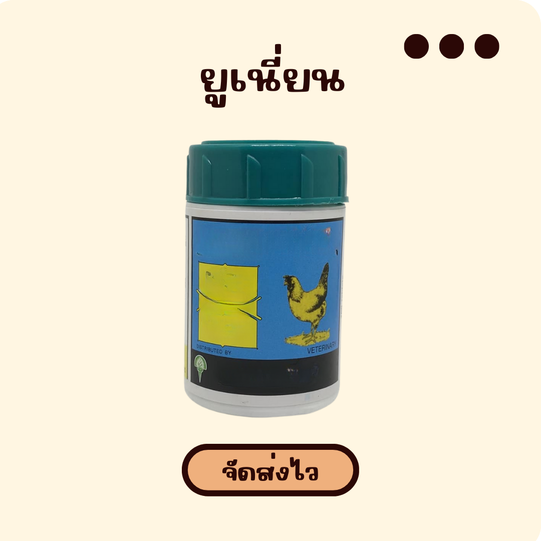 ยูเนี่ยน....ฝ้า UNION SULFA อาหารไก่ แบบกระปุก 100 เม็ด | Lazada.co.th