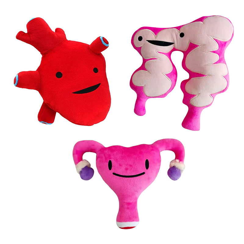 Toygo ตุ๊กตาผ้ากำมะหยี่อวัยวะมนุษย์การศึกษาก่อนวัยเรียนตุ๊กตาขนาดใหญ่ใน ...