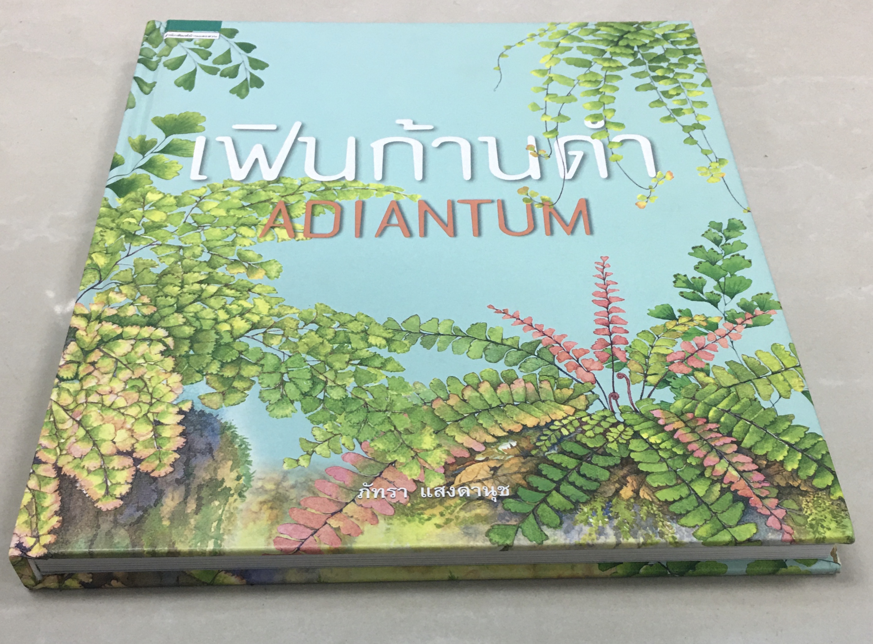เฟินก้านดำ : Adiantum (ปกแข็ง) - PATCHA Store - ThaiPick