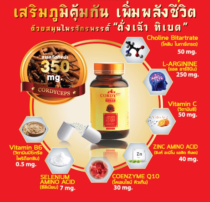 Cordy plus คอร์ดี้พลัส ถั่งเช่าทิเบต 350mg (1ขวด 30 แคปซูล) - SP cloth ...