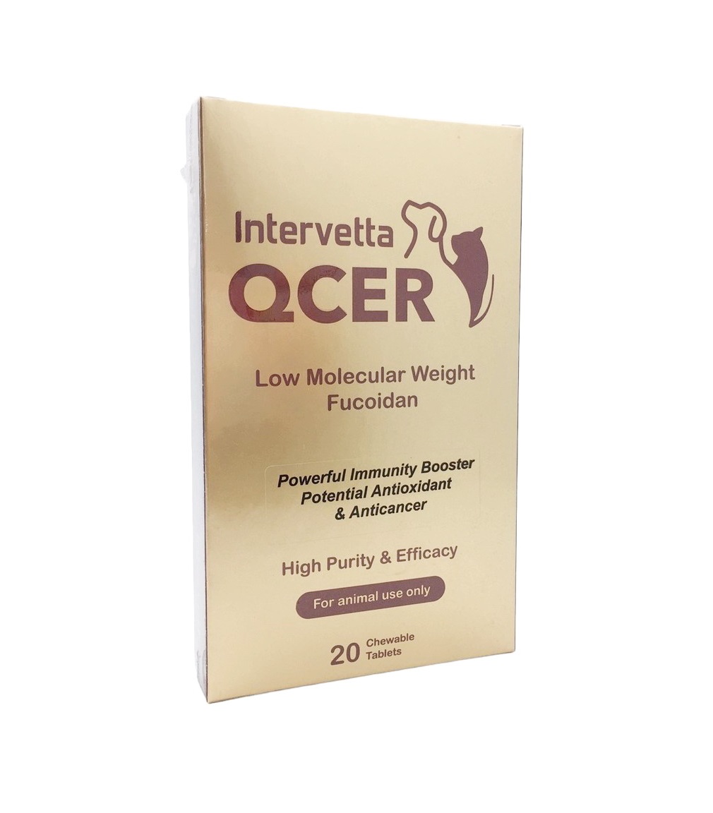 QCER (20 เม็ด) อาหารเสริมสุนัข สารสกัดจากธรรมชาติ [Exp. 05/2025] | Lazada.co.th