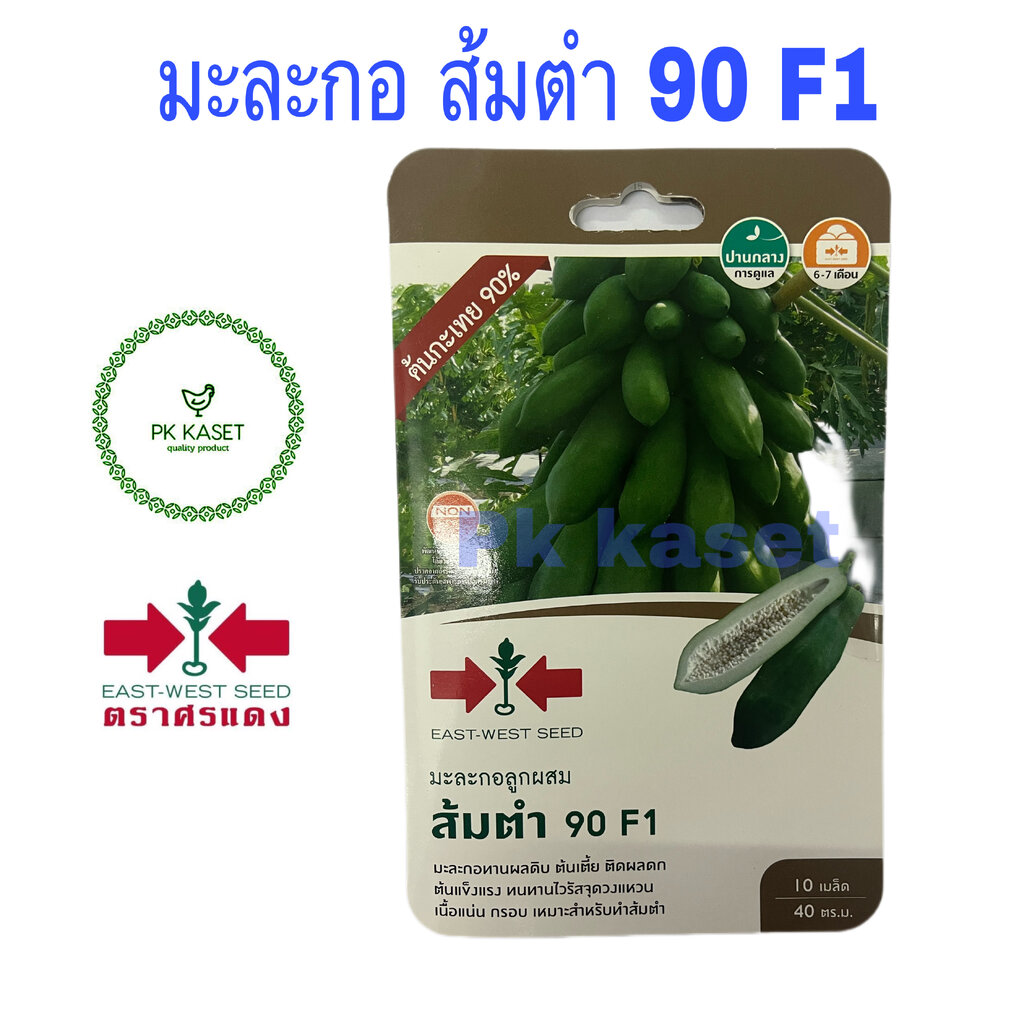 เมล็ดมะละกอ ส้มตำ 90 F1 (ต้นกะเทย90%) ตราศรแดง ซองแข็ง 10 เมล็ด ผัก ...
