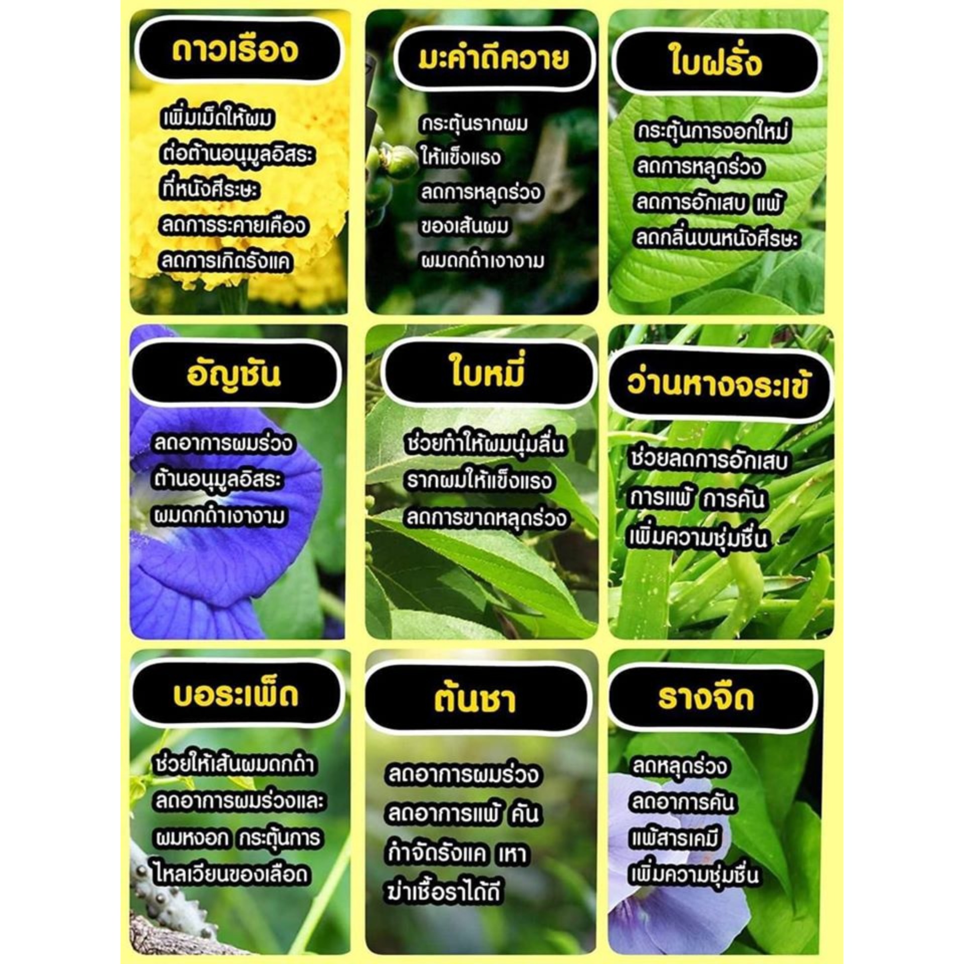 แชมพูดาวเรือง ไฉไล Chai lai Calendula Hair Shampoo ( 150 ml. ) [ ใช้ ...