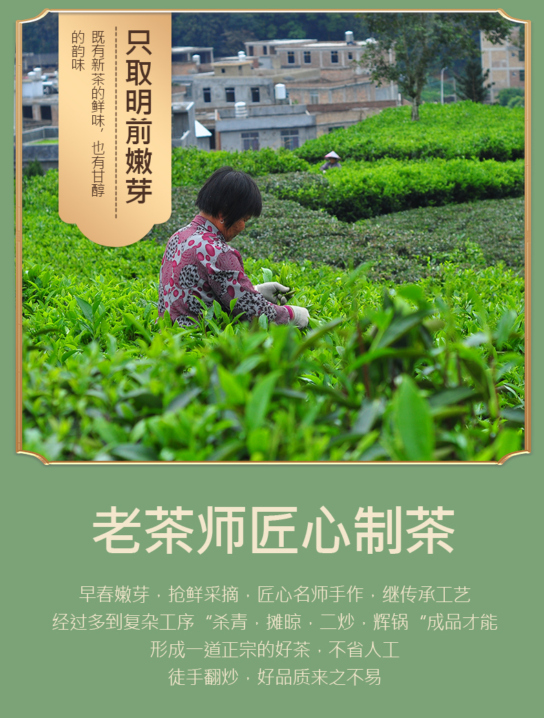（Mcgretea High Quality 绿茶 龙井茶 100g/200g）Mcgretea Green Tea Gragon Well ...