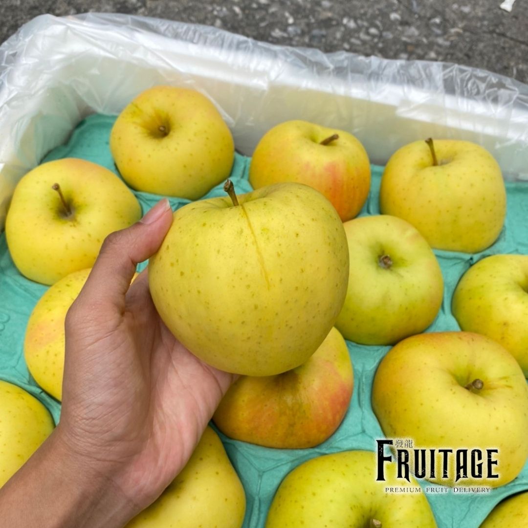 แอปเปิ้ลโทกิ (แอปเปิ้ลโอริน(1ลูก)Japanese Green Orin Apple オリン)หอมละ ...