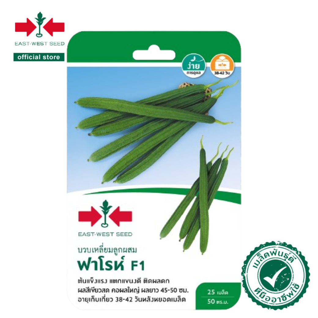 East-West Seed เมล็ดพันธุ์บวบเหลี่ยมF1 ฟาโรห์ (LUFFA ANGULA) เมล็ด ...