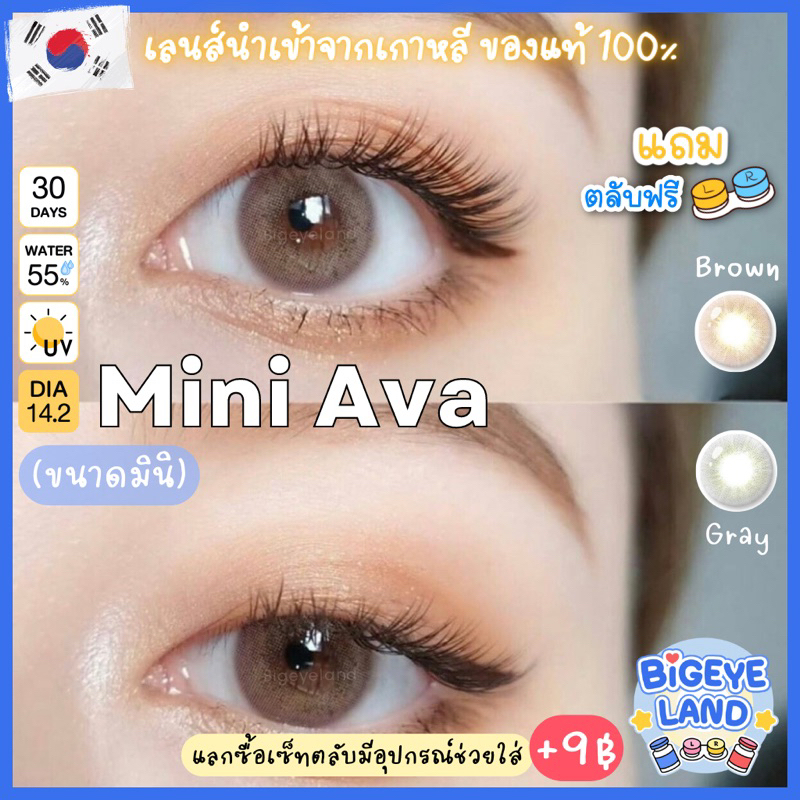 คอนแทคเลนส์ Mini Primo Gray Brown (Kitty Kawaii) ขนาดมินิ เนียน ธรรมชาติ ขายดีมาก - Bigeyeland ...