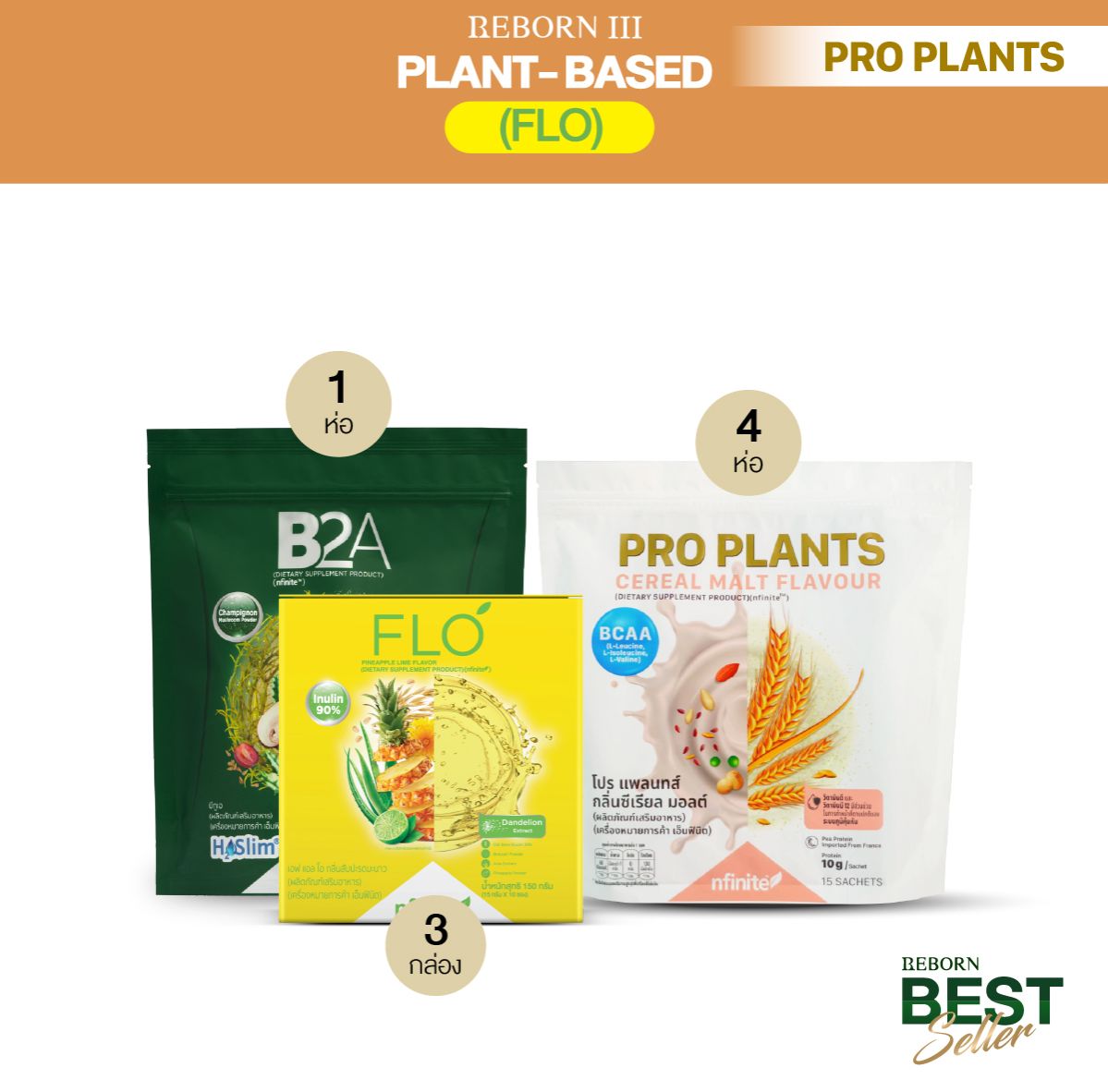 Reborn Plant-Based (FLO) (Reborn Best Seller) | Lazada.co.th