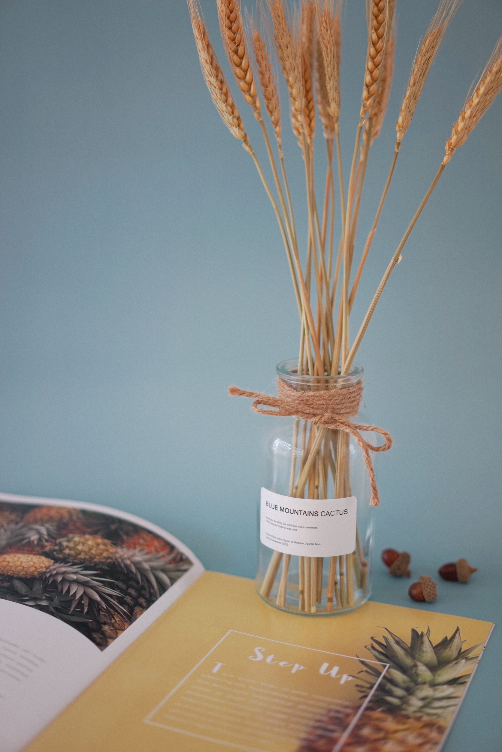 Prop Magazine นิตยสาร ถ่ายรูป 1 เล่ม มี 24 หน้า พร็อพถ่ายรูป พร็อพ ...