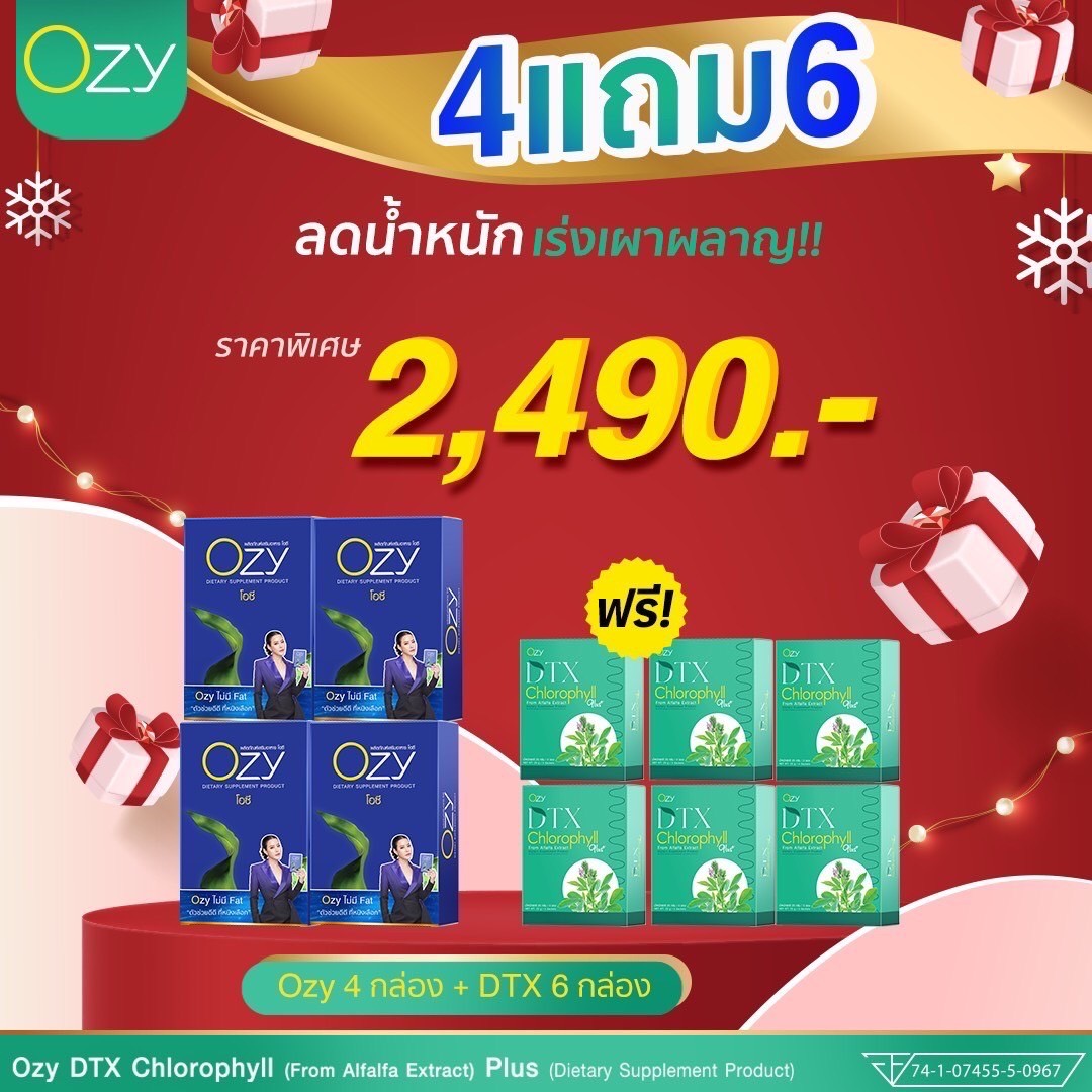 1 แถม 1 OZY DTX คลอโรฟิลล์ โอซี ดีท๊อกซ์ หนิง ปณิตา ของแท้ส่งฟรี! | Lazada.co.th
