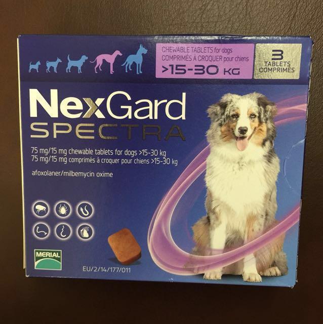 NexGard Spectra Dog 15-30 kg Exp 12/2020 ยากินกำจัดเห็บหมัด ป้องกัน ...