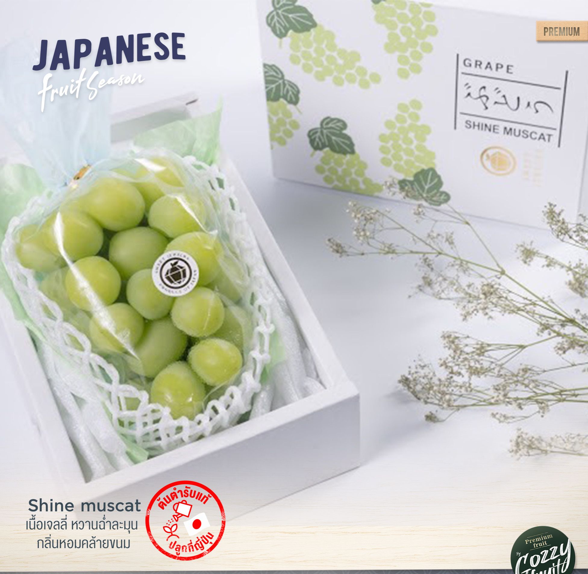 ส่งฟรี องุ่นญี่ปุ่นแท้ Shine muscat รุ่นพรีเมี่ยม ไซส์ 6L - ผลไม้นำเข้า ...